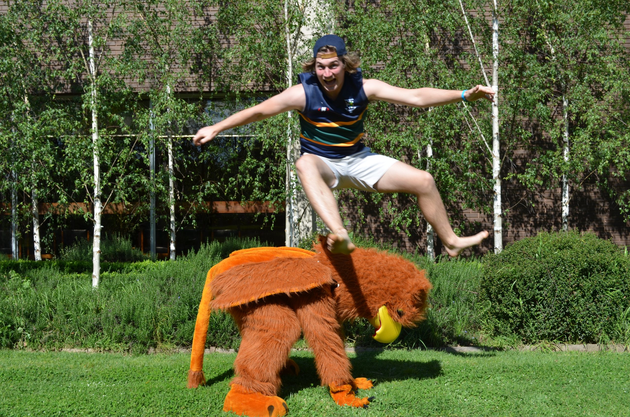 The Man Behind the Mascot: Creating Dell'Oro - Mannix College